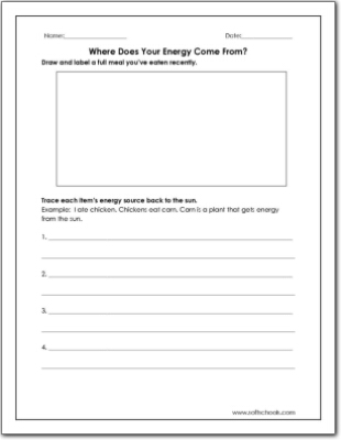 Where Does Your Energy Come From? Worksheet